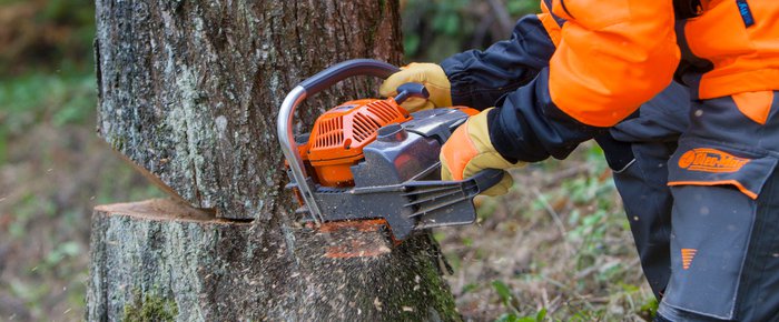 Oleo-Mac: Products for the care of Green Areas - Oleo-Mac