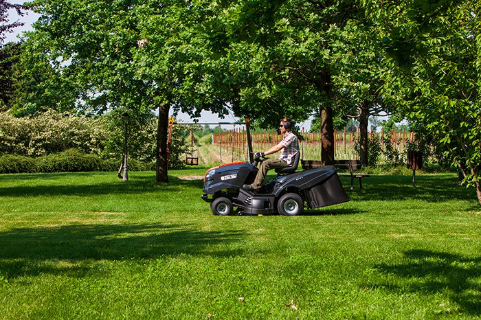 All about vines: how to choose and plant them – Oleomac