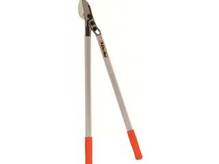 Oleander pruning: tips for doing it right – Oleomac